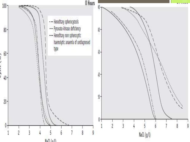 Osmotic fragility test | PPTX | Blood Disorders | Diseases and Conditions