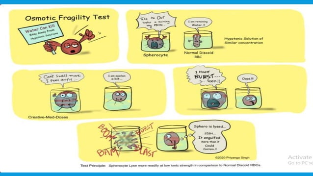 Osmotic Fragility Test | PPTX