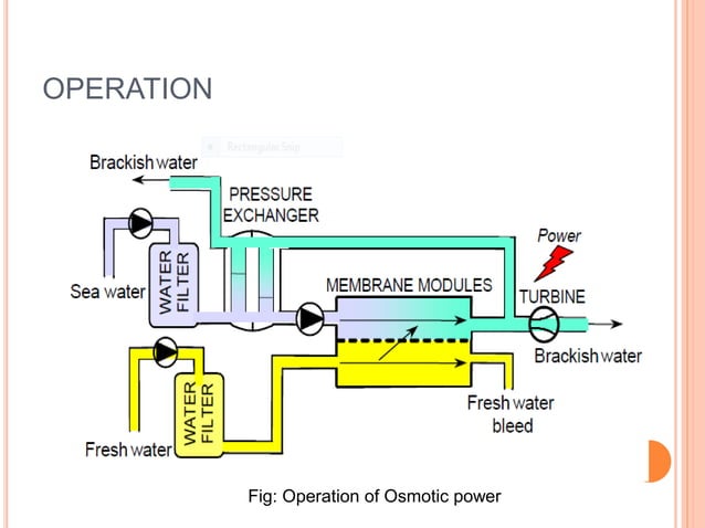 Osmotic Power | PPTX | Chemistry | Science
