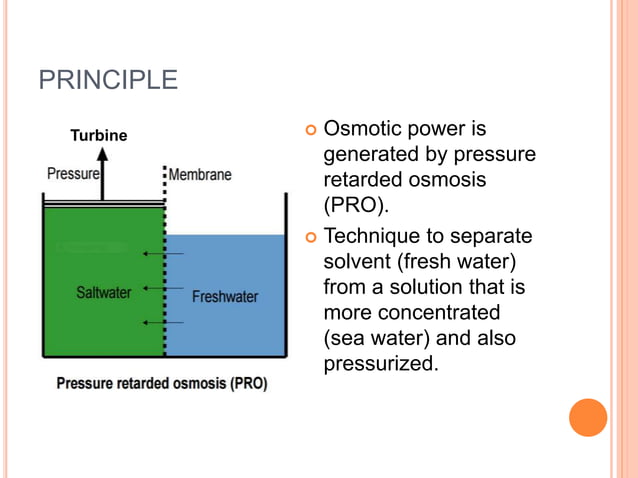 Osmotic Power | PPTX | Chemistry | Science