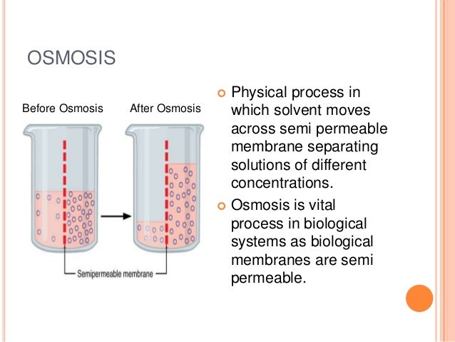 Osmotic Power
