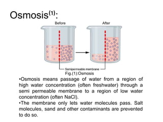 Osmotic power generation(01) | PPTX