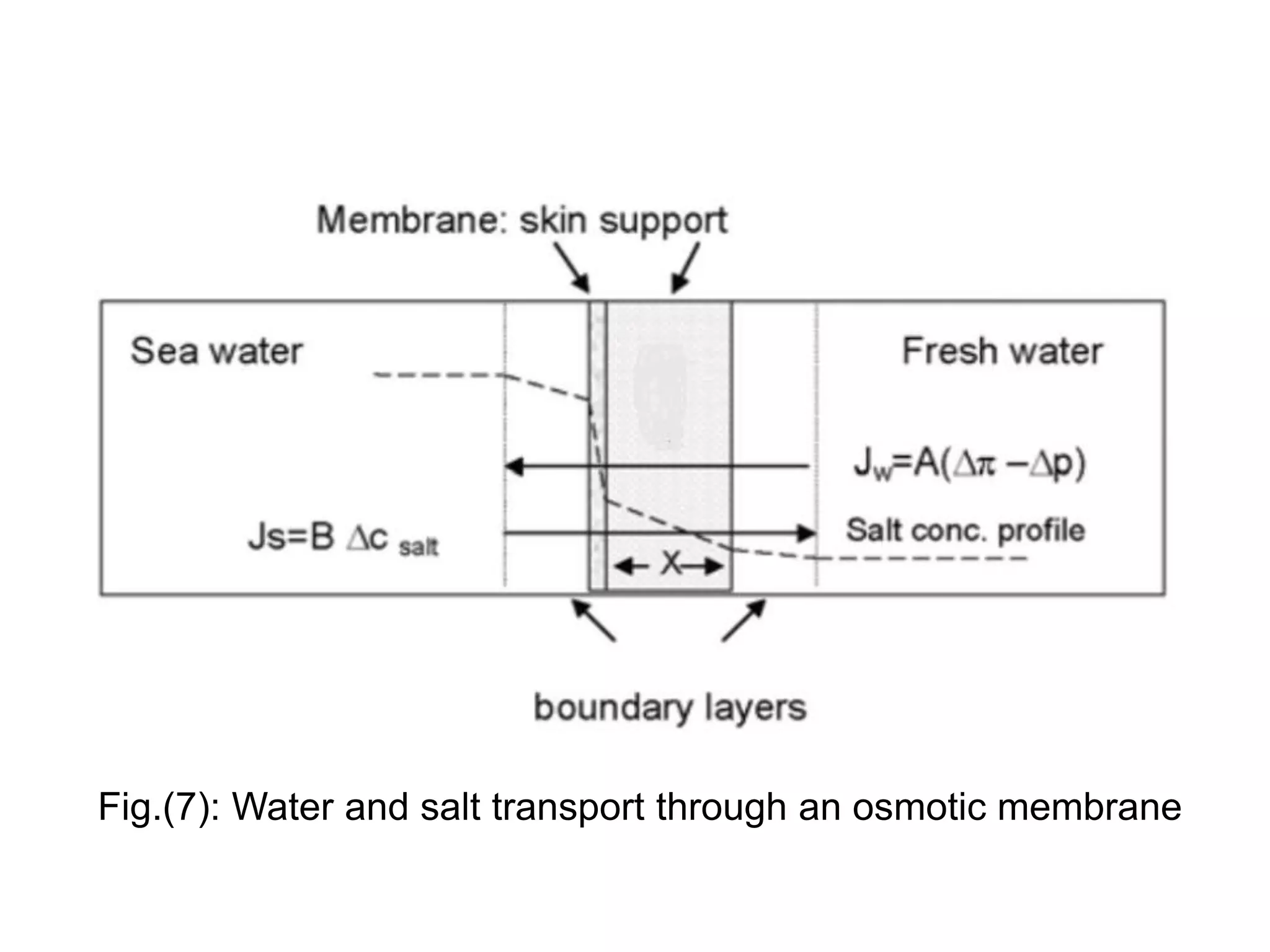 Osmotic power generation(02) | PPTX | Chemistry | Science