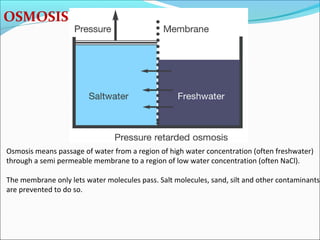 Osmotic powerplant | PPT
