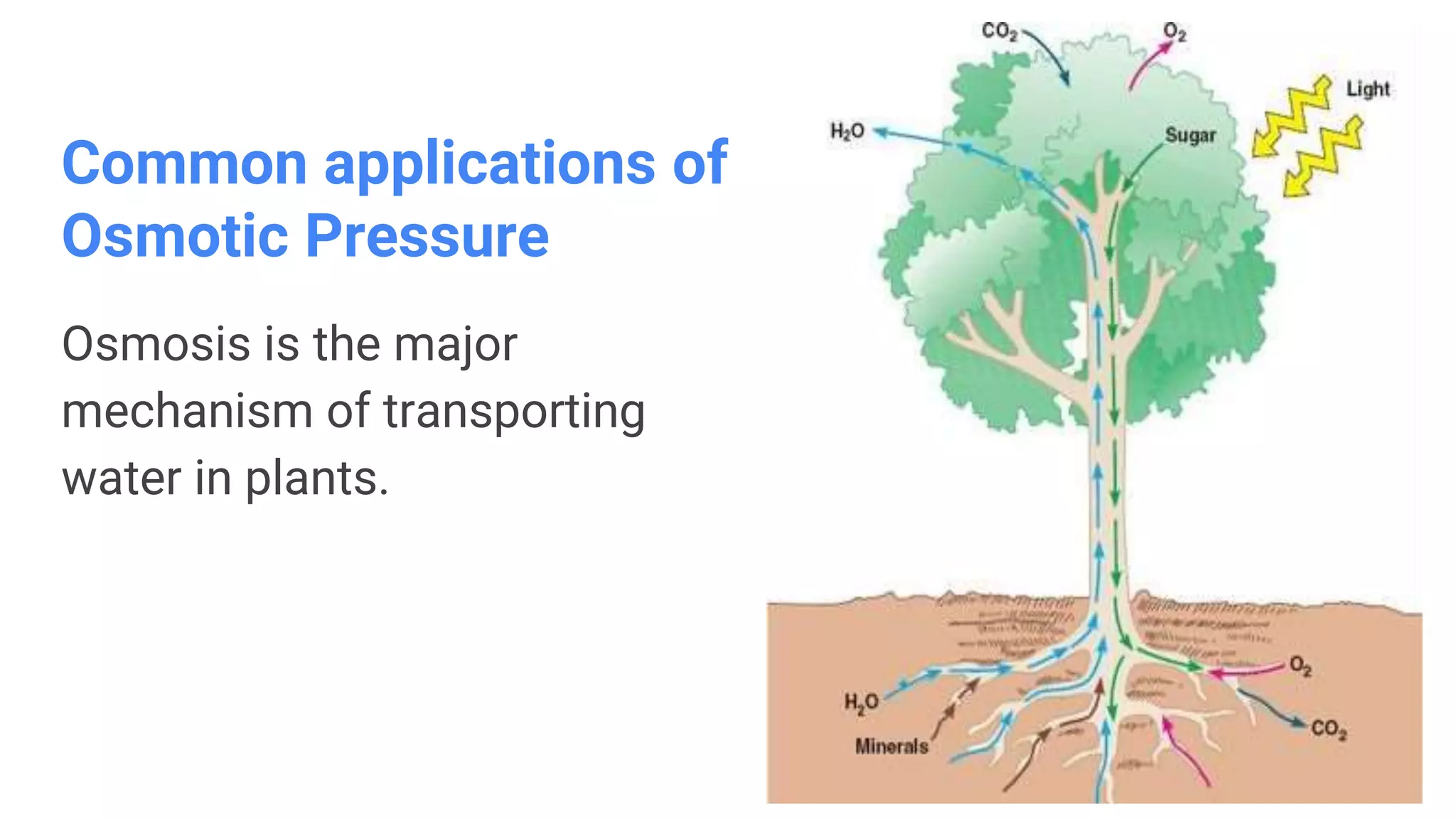 Osmotic pressure & Colloids | PPTX
