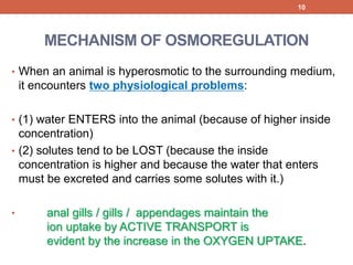Osmotic regulation part 1 | PPT