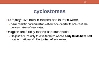 Osmotic regulation part 1 | PPT