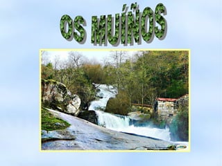 Os muiños | PPT