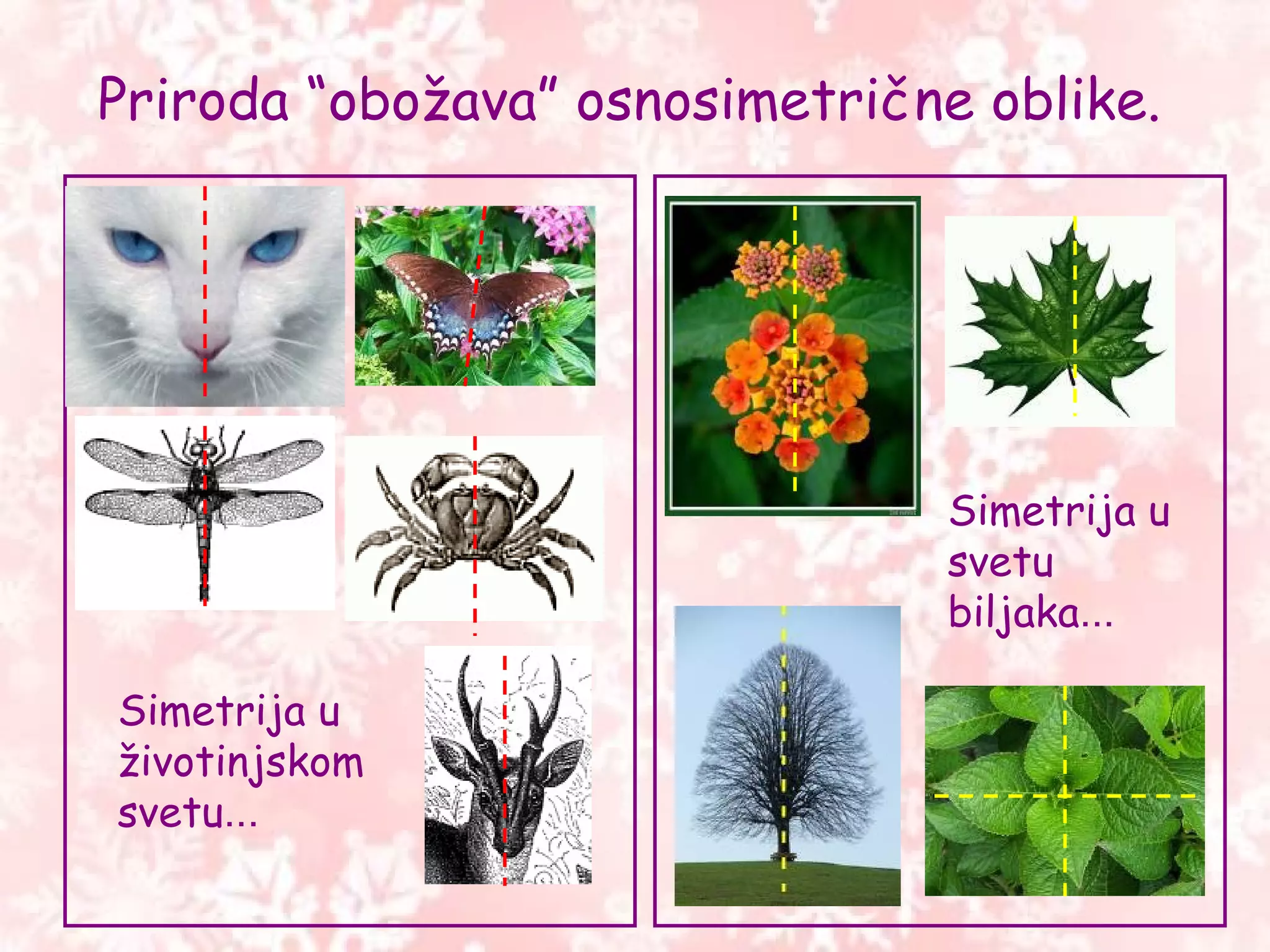 Osnosimetricni likovi | PPS