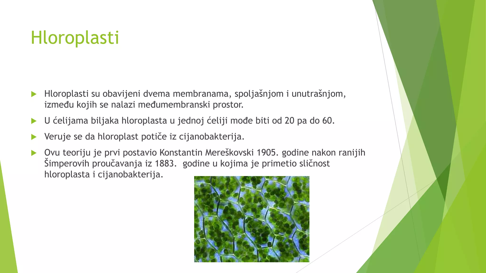 Osnovna građa ćelije.pptx