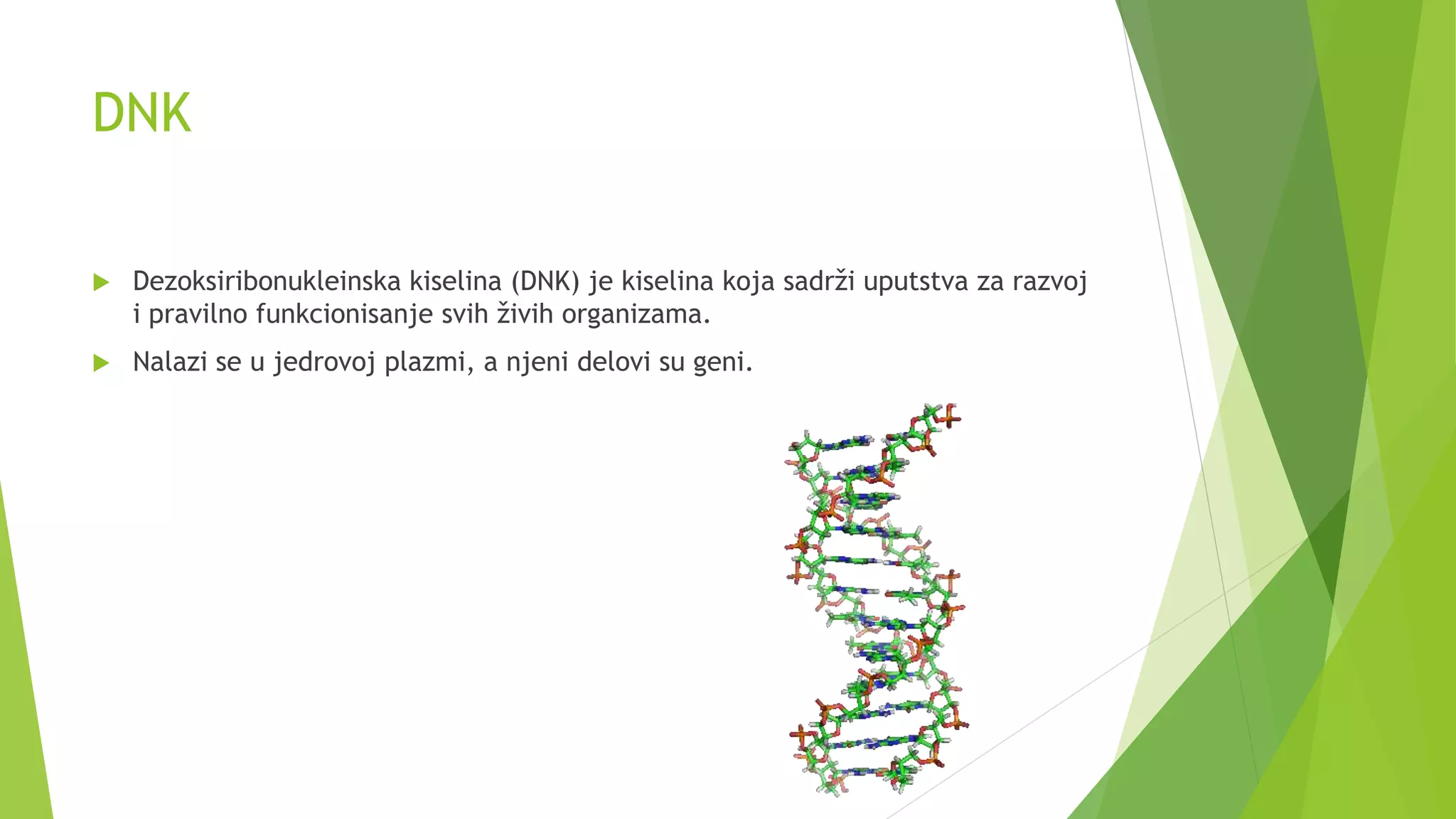 Osnovna građa ćelije.pptx