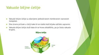 Osnovna građa ćelije.pptx