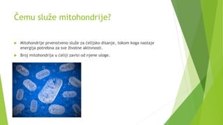 Osnovna građa ćelije.pptx