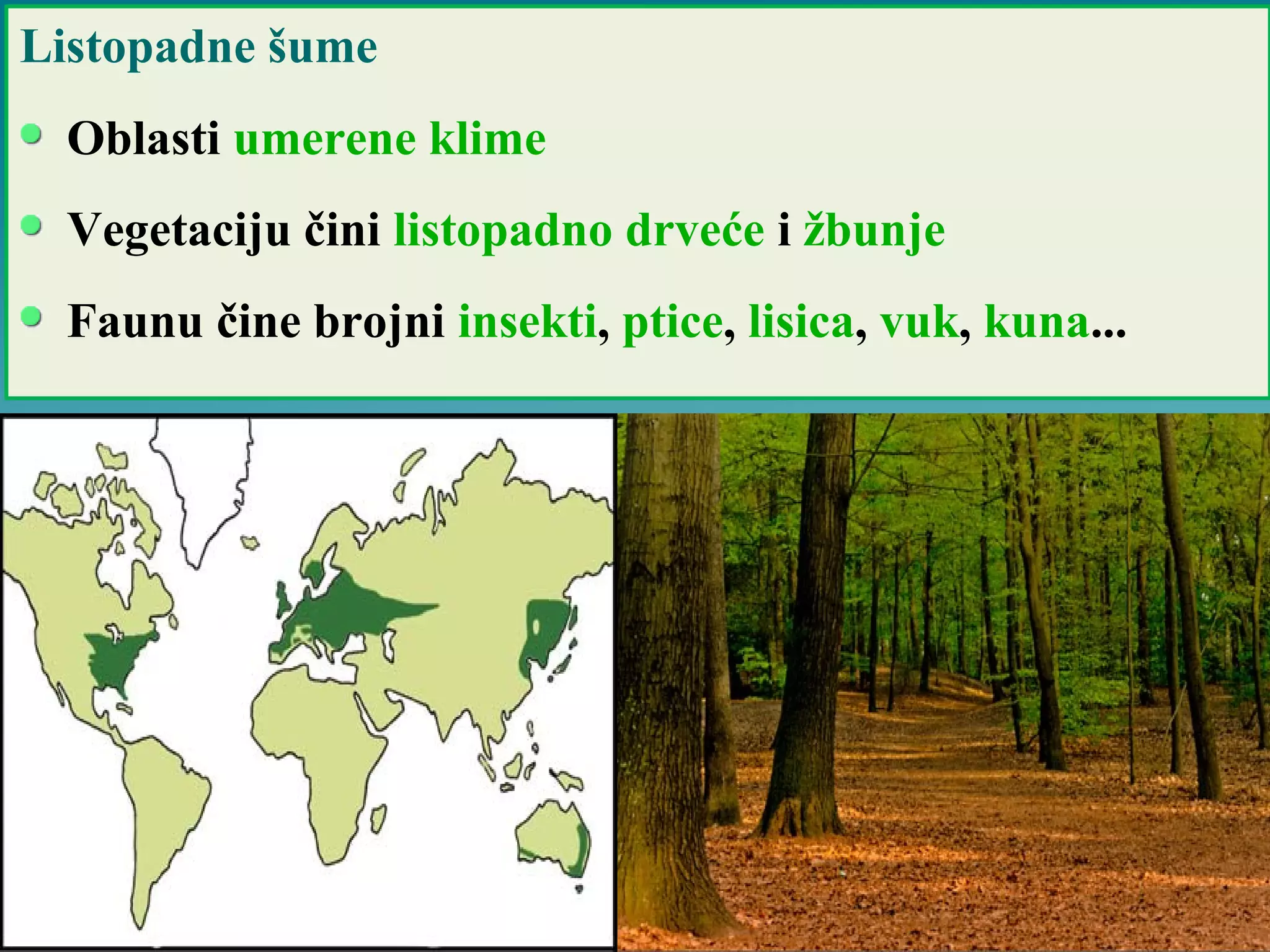 Osnovni biomi na zemlji. Biosfera | PPT