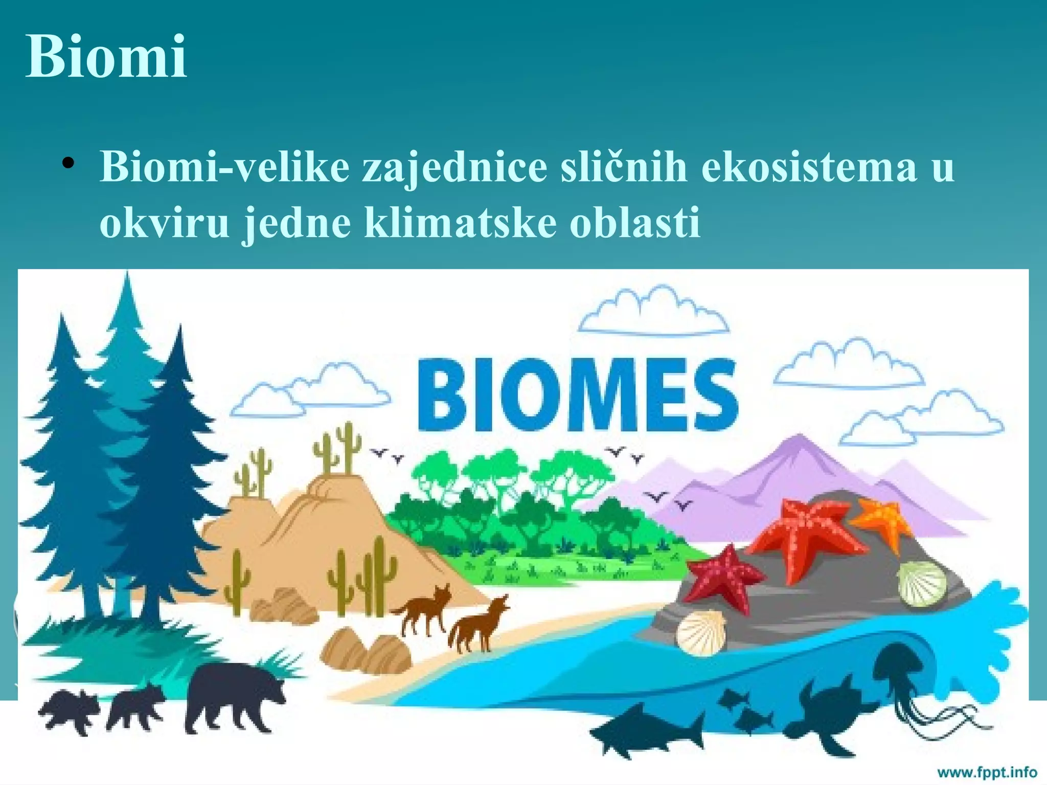 Osnovni biomi na zemlji. Biosfera | PPT