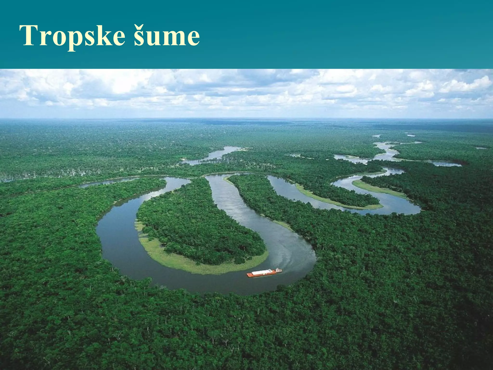 Osnovni biomi na zemlji. Biosfera | PPT