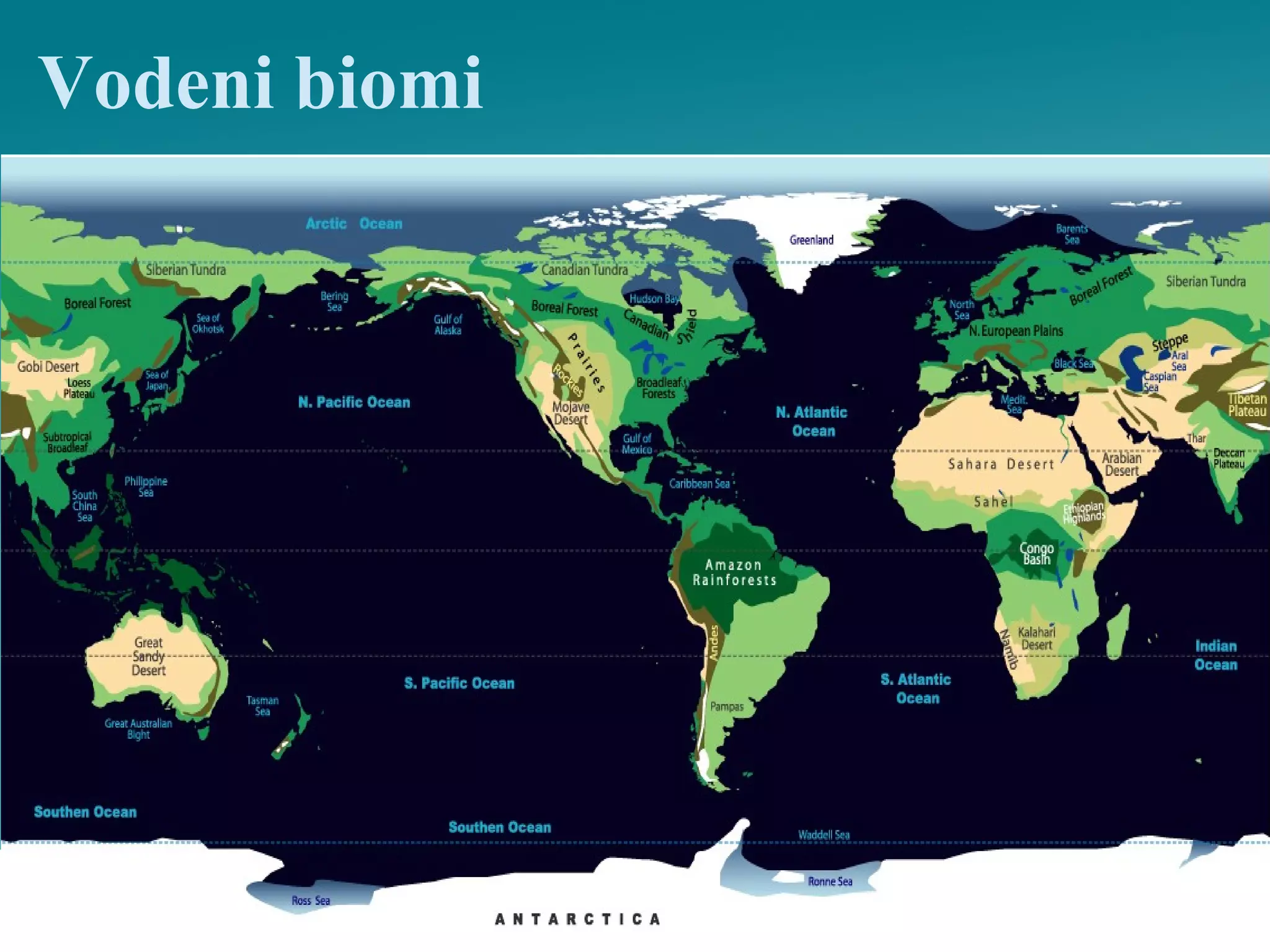 Osnovni biomi na zemlji. Biosfera | PPT