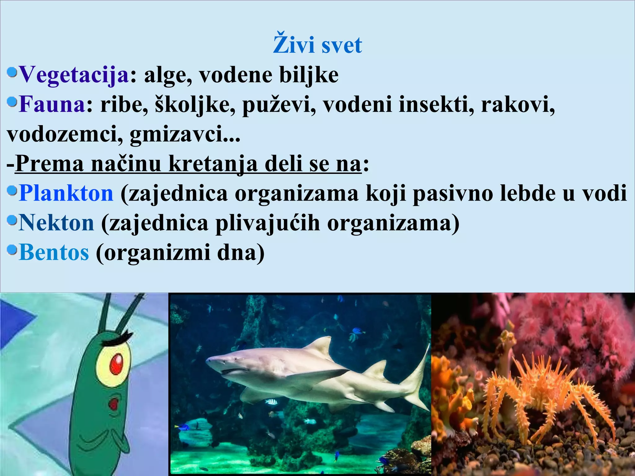 Osnovni biomi na zemlji. Biosfera | PPT