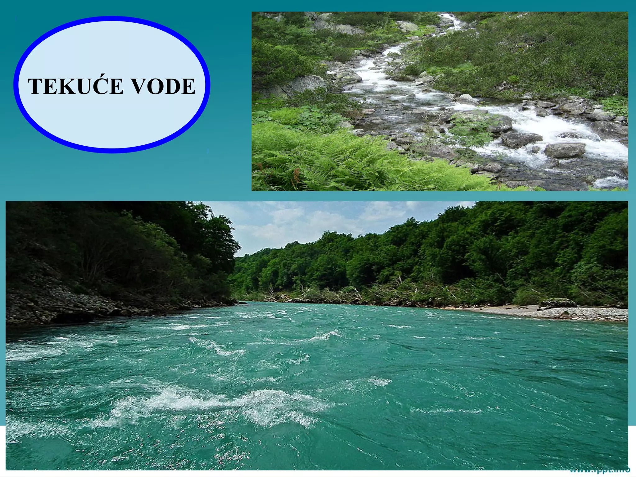 Osnovni biomi na zemlji. Biosfera | PPT