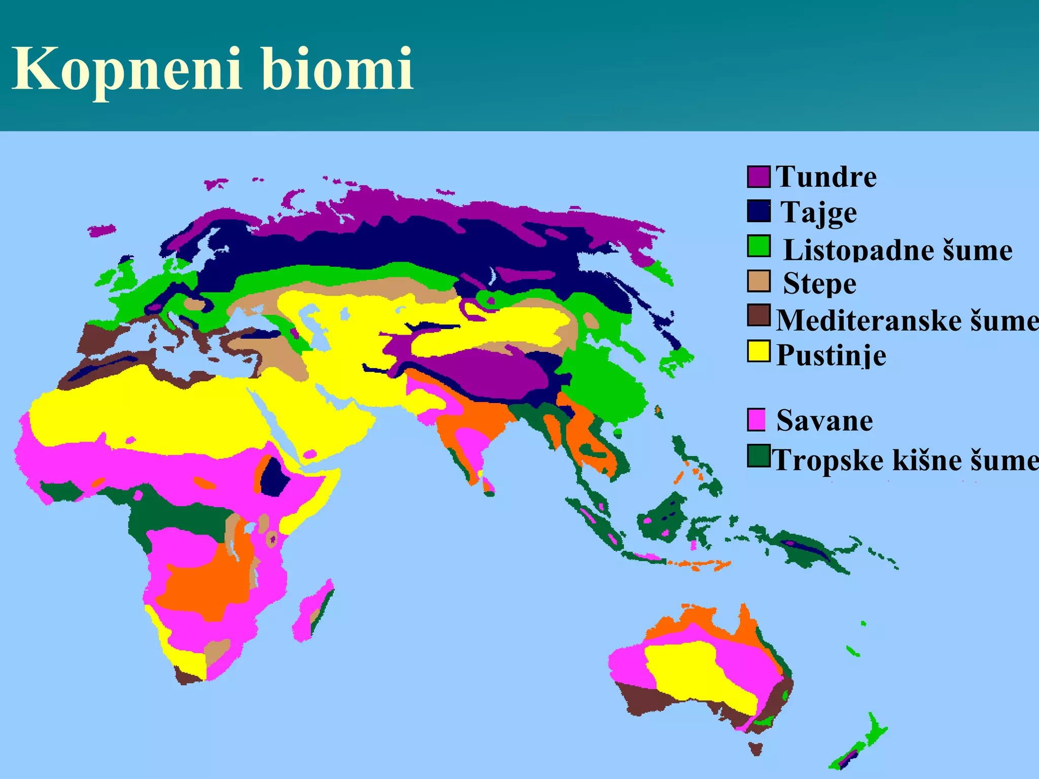 Osnovni biomi na zemlji. Biosfera | PPT