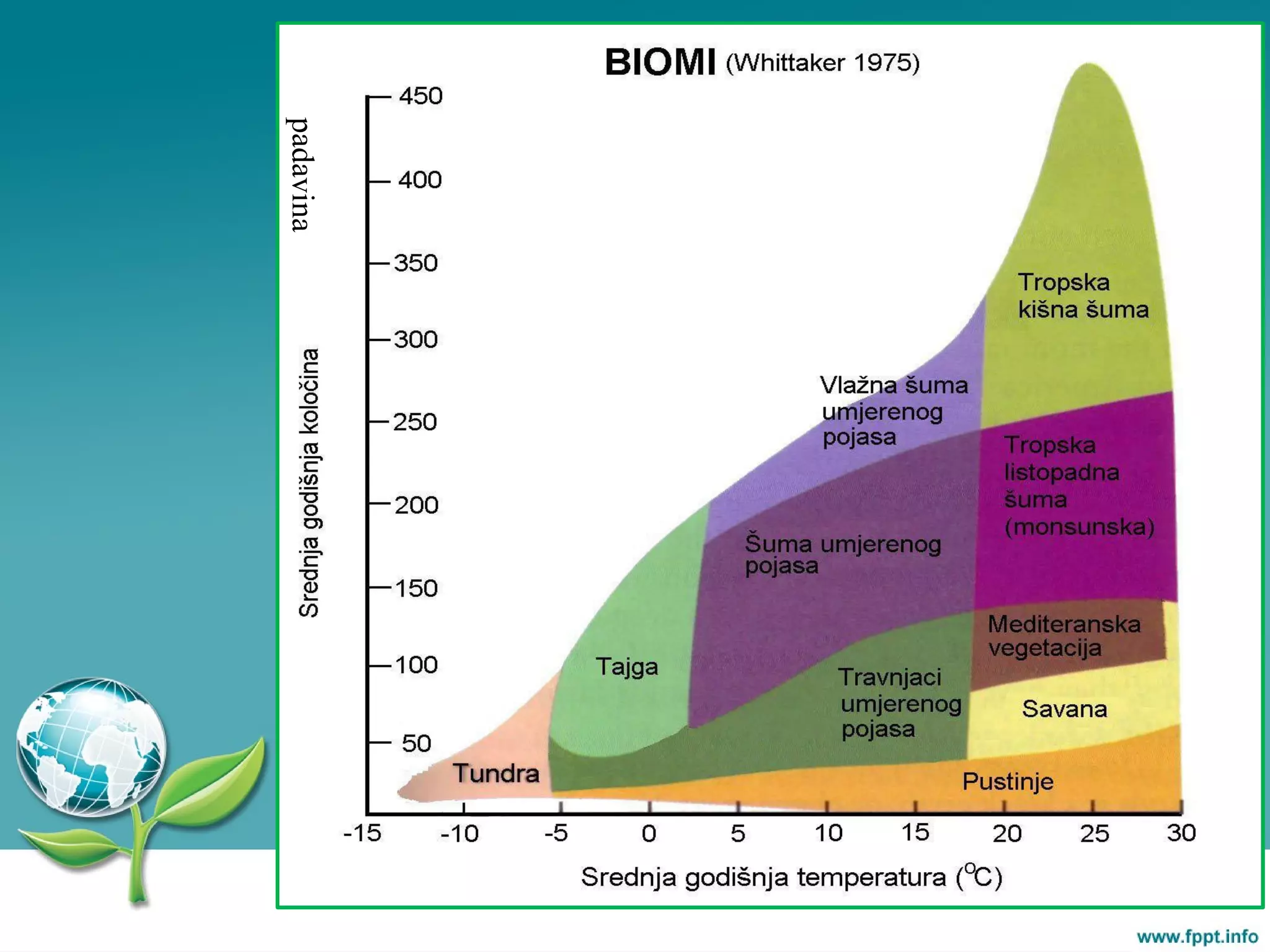 Osnovni biomi na zemlji. Biosfera | PPT