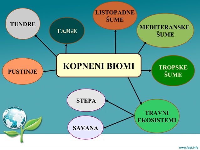 Osnovni biomi na zemlji. Biosfera | PPT