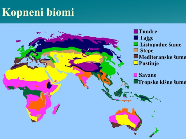 Osnovni biomi na zemlji. Biosfera | PPT
