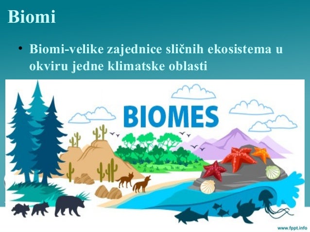 Osnovni biomi na zemlji. Biosfera