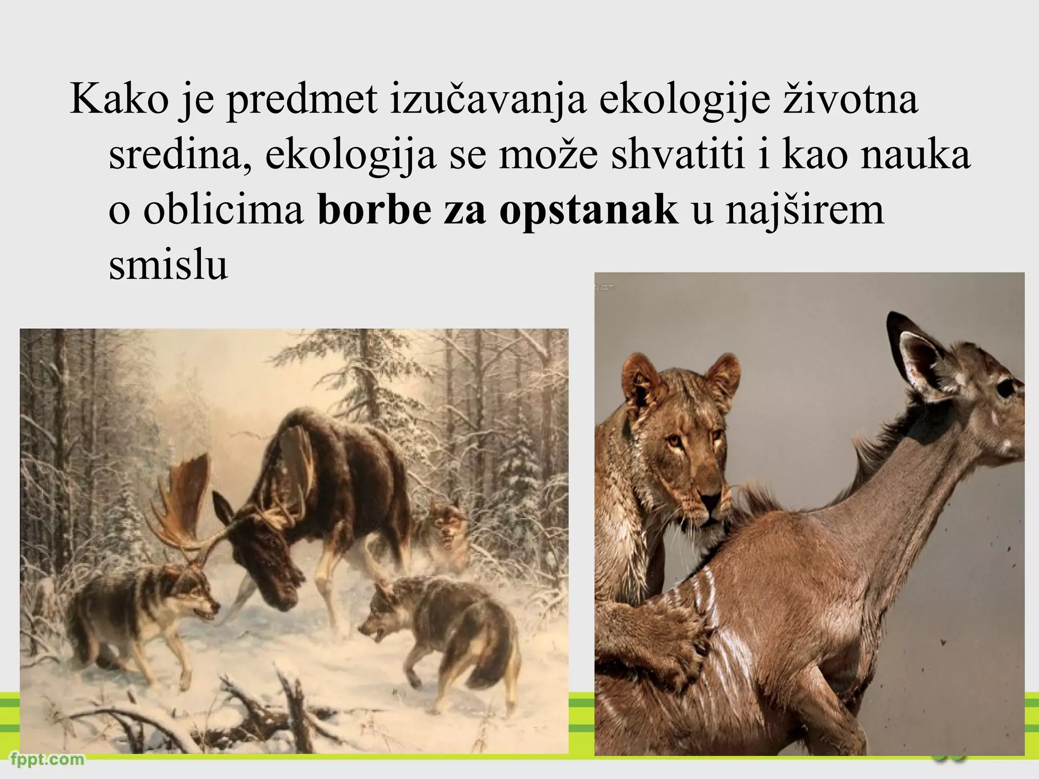 Osnovni pojmovi i principi ekologije i zaštite životne sredine | PPT