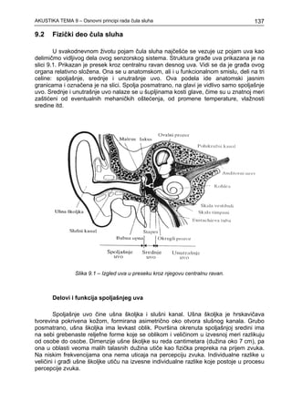 Osnovni principi rada cula sluha | PDF