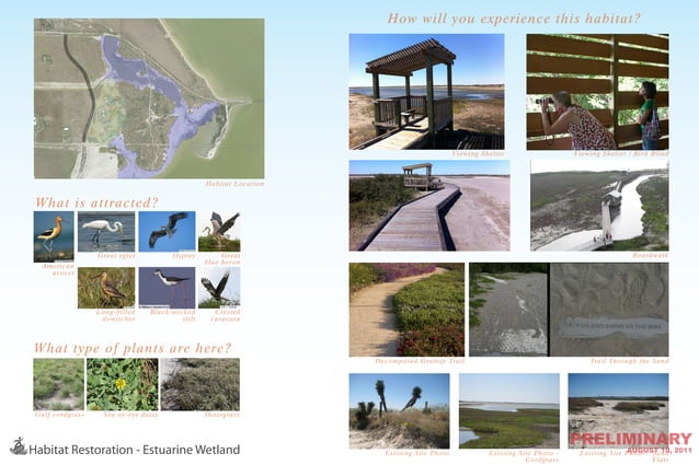 Oso bay wetlands | PPT