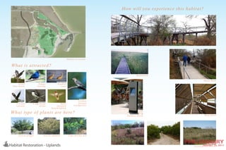 Oso bay wetlands | PDF