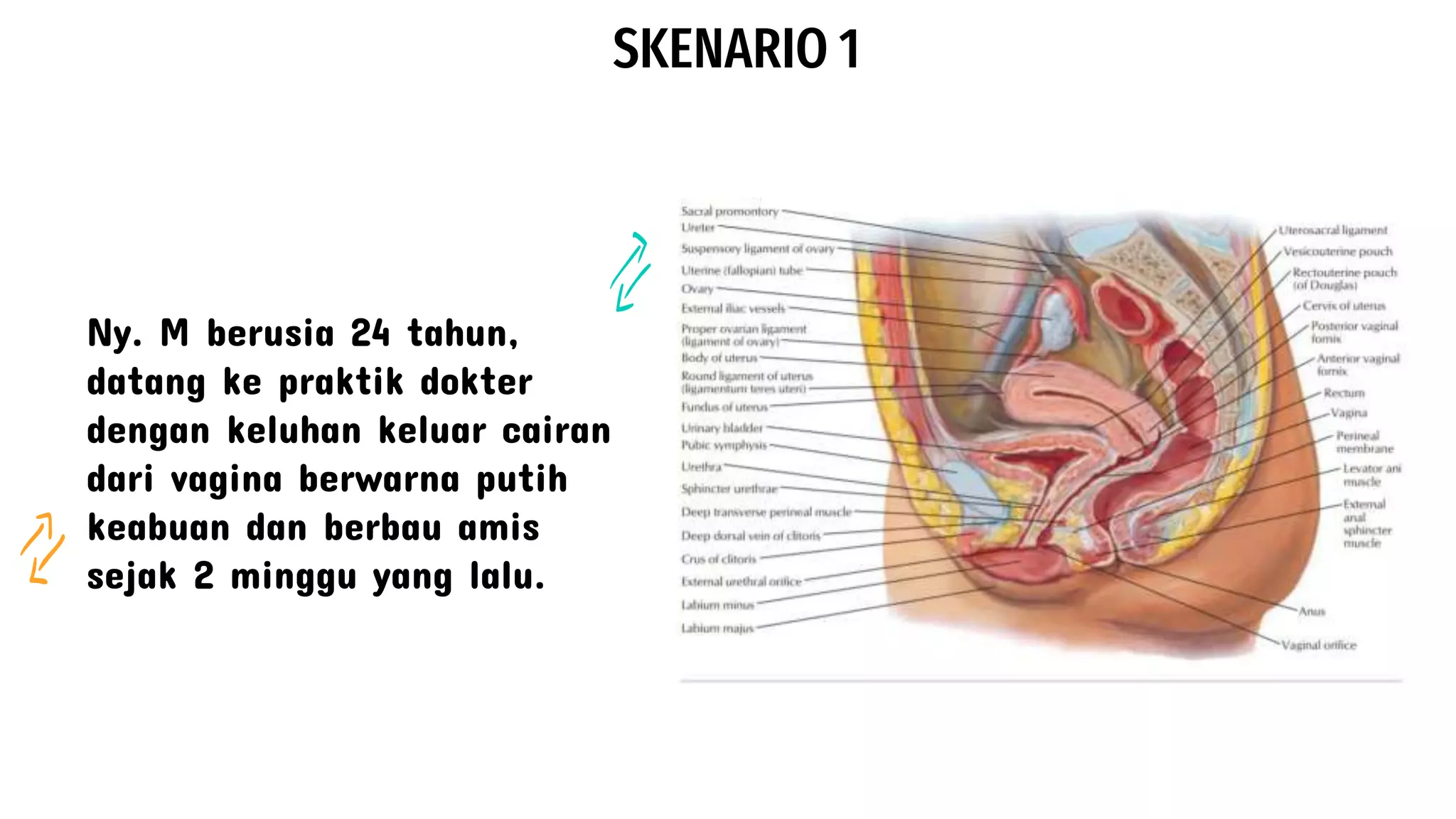 OSOCA MODUL IMS REPRO.pptx