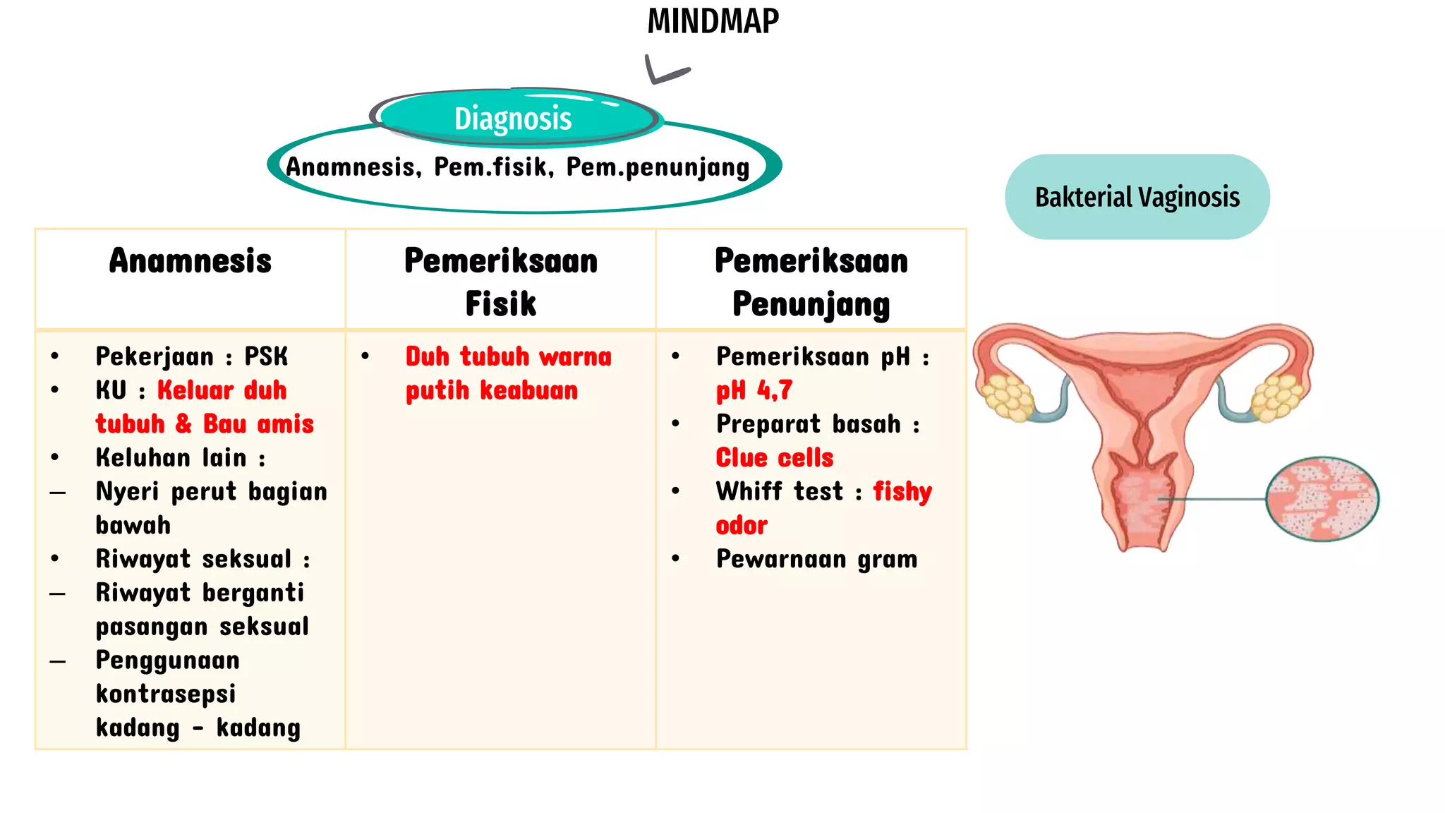 OSOCA MODUL IMS REPRO.pptx