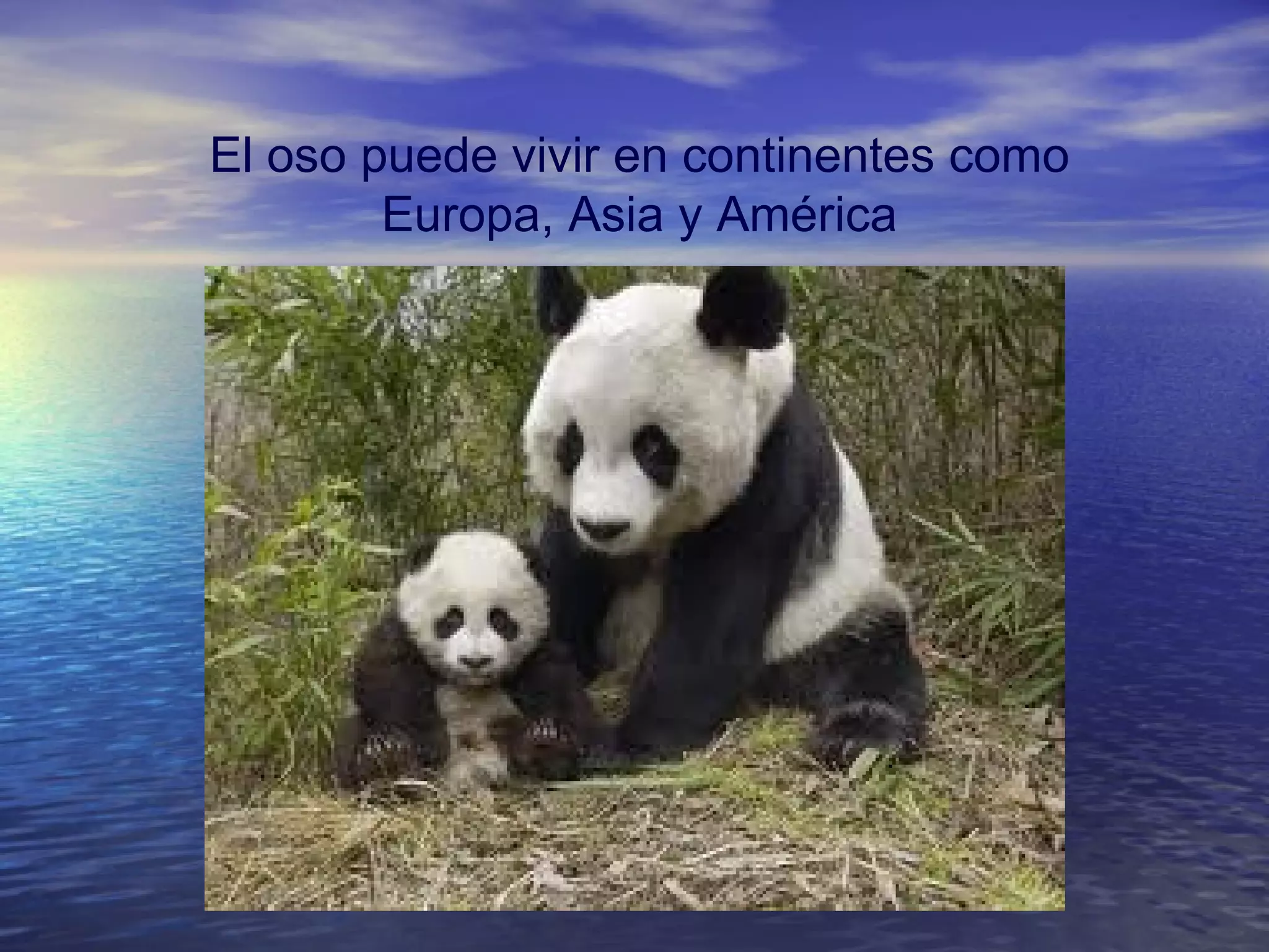 El Oso - por Francesco y Lucía | PPT