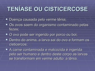 O solo e a saúde do nosso corpo | PPT