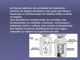 O solo e a saúde do nosso corpo | PPT