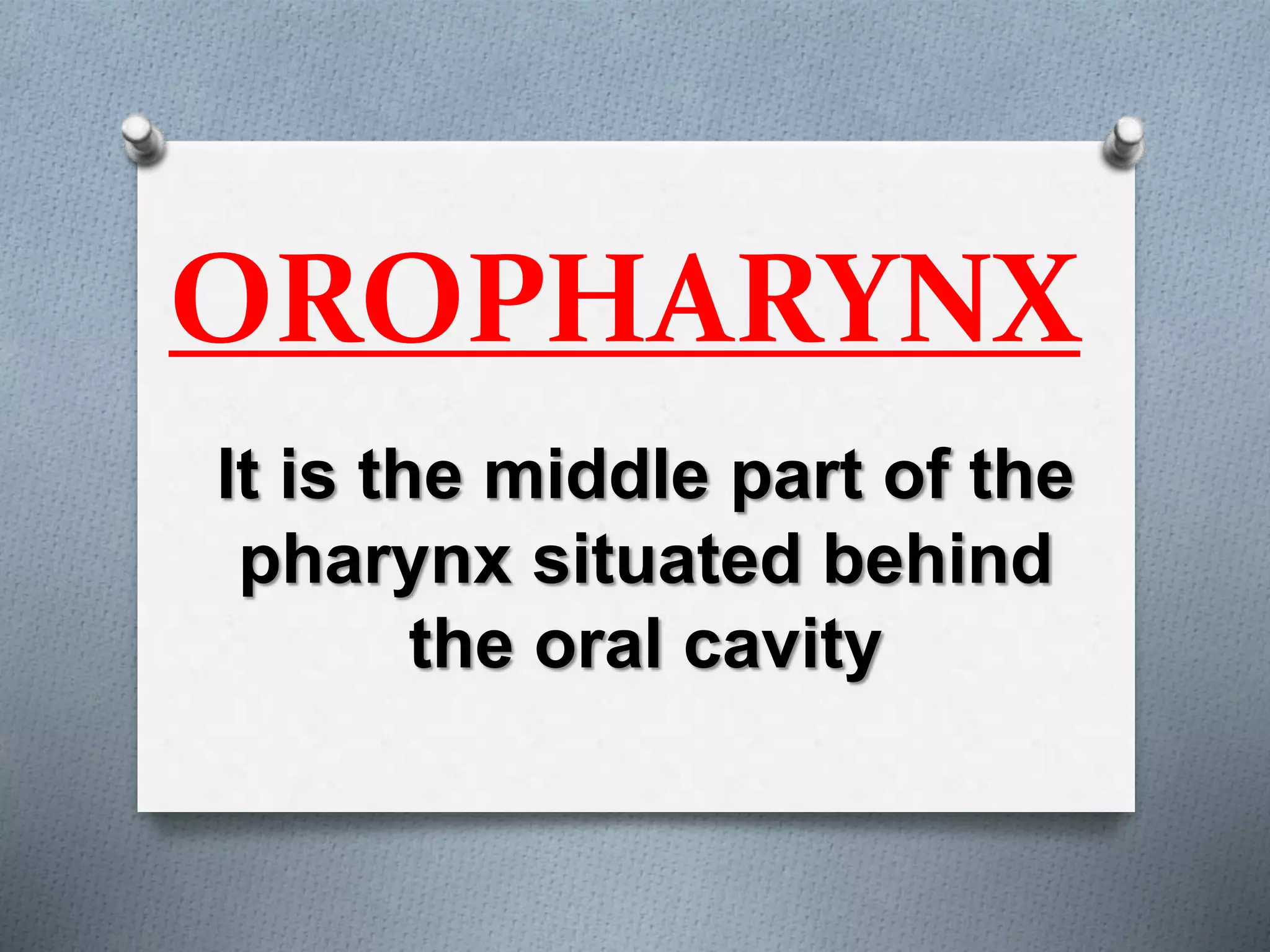 Oropharynx presentation by me | PPTX