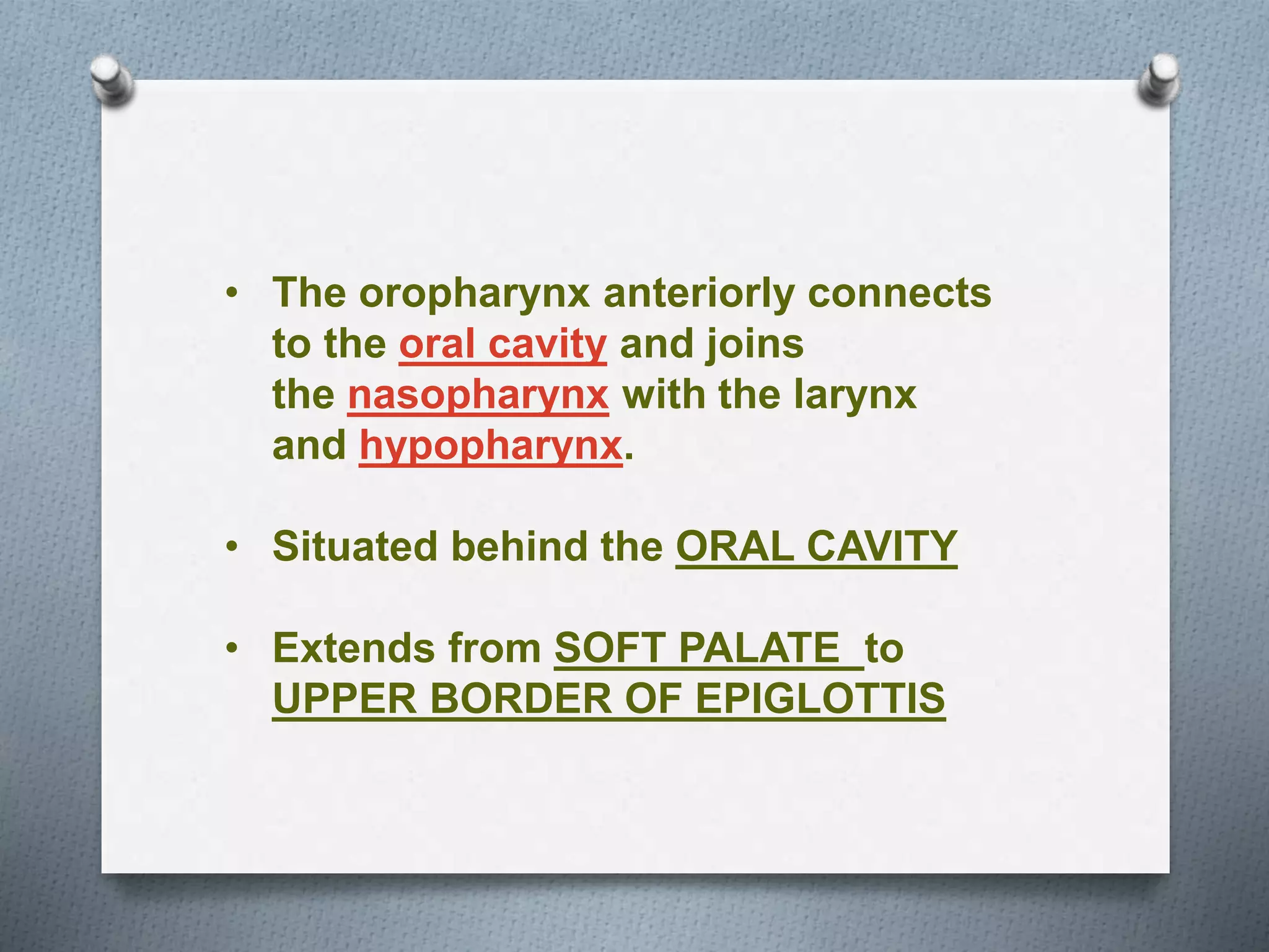 Oropharynx presentation by me | PPTX