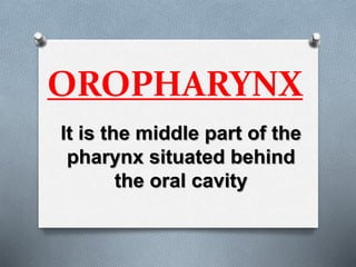 Oropharynx presentation by me | PPTX | Ear, Nose and Throat Conditions ...