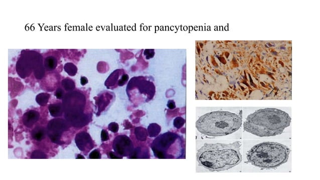 OSPE Charts for pathology PGs , Charts and keys | PPTX