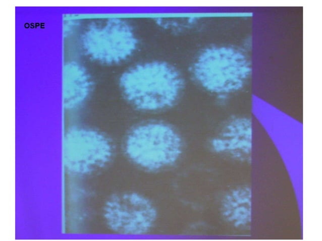 Microbiology slides | PPT | Medical Health