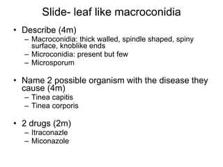 Microbiology slides part 2 | PPT