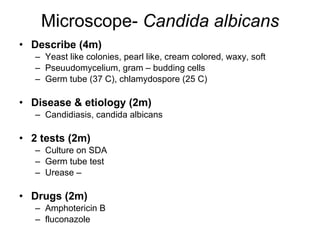 Microbiology slides part 2 | PPT