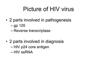 Microbiology slides part 2 | PPT
