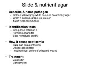 Microbiology slides part 2 | PPT
