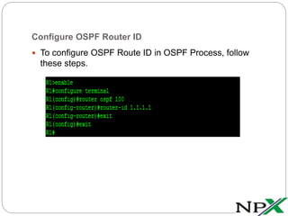 OSPF | PPT