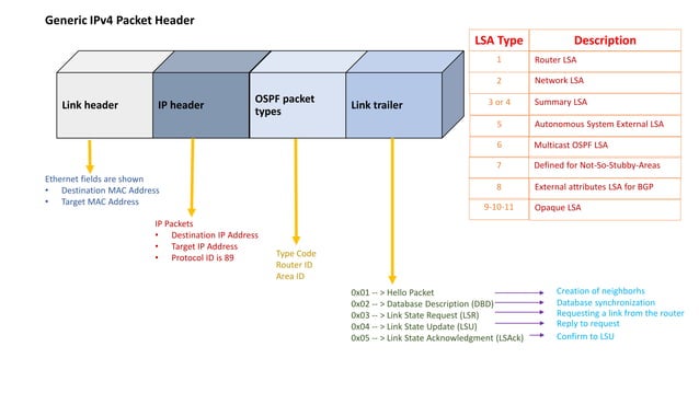 Dynamic Routing Protocol OSPF | PPT