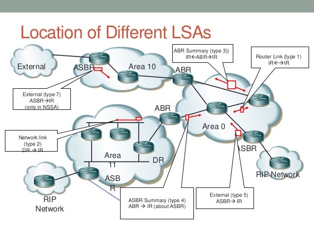 Ospf area types