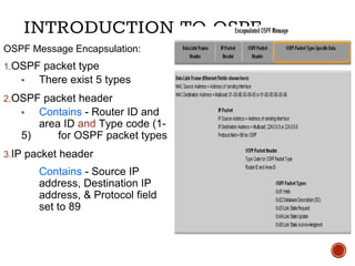 Ospf hassan jamal.ppt